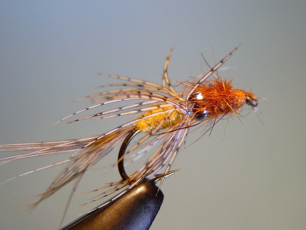 Dressing: EN.09 Silver Orange Nymph | Maurizio Molinaro